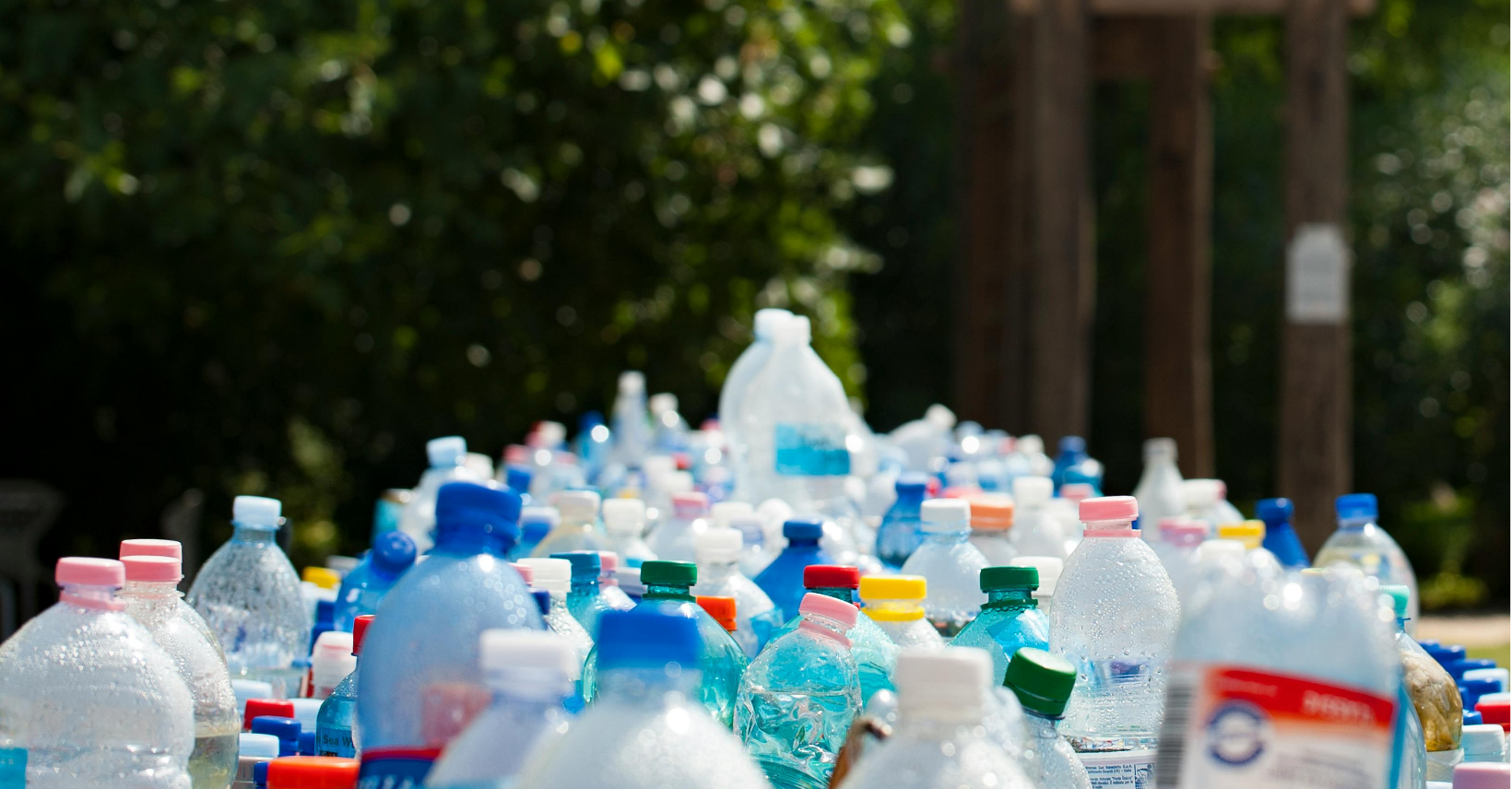De impact van plastic waterflessen op ons en het milieu 🌿 fitplein.nl